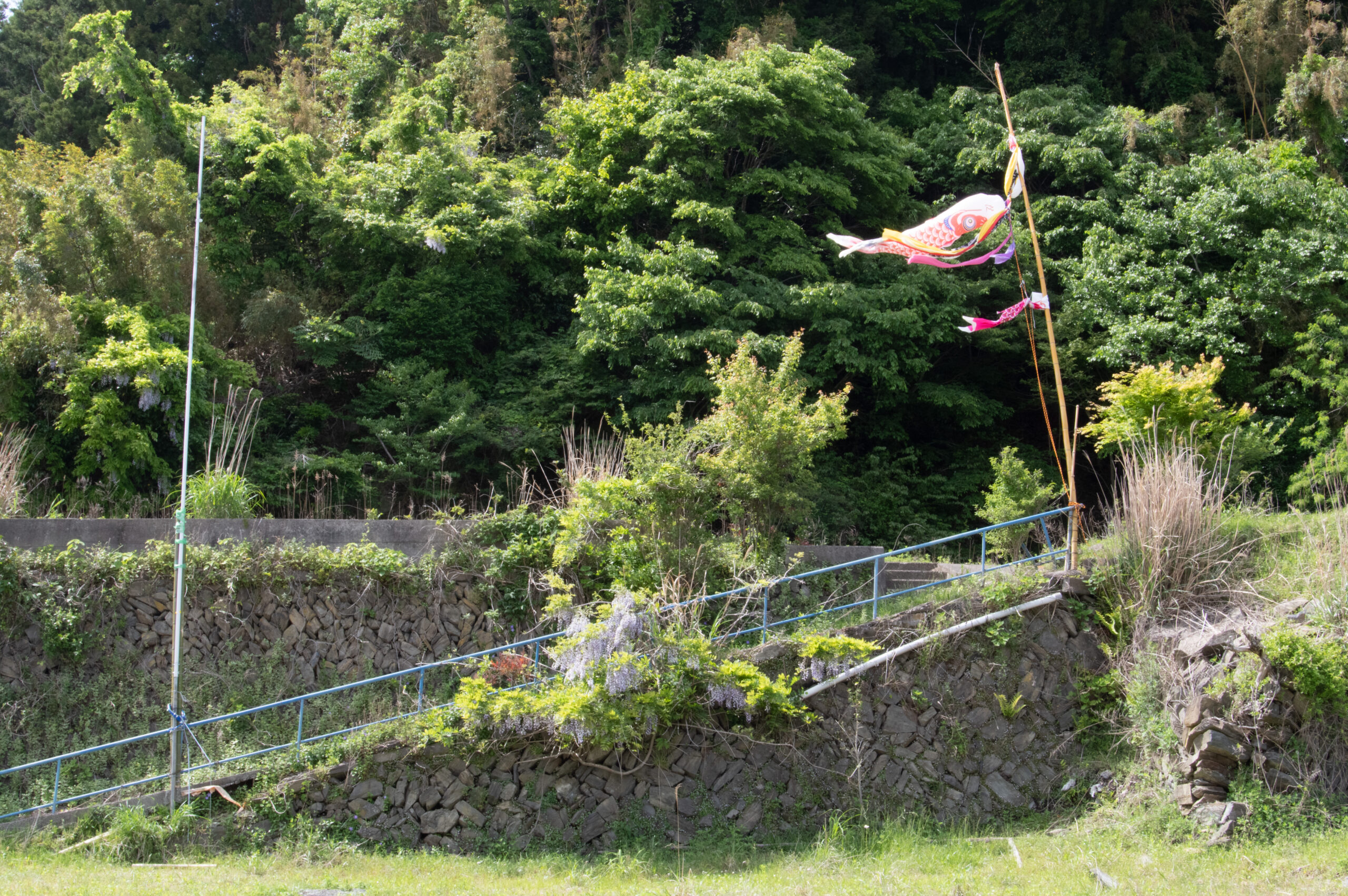 Ogatsu Journey, Part 2: “Beyond the Mountain Pass, a Slow Recovery ...