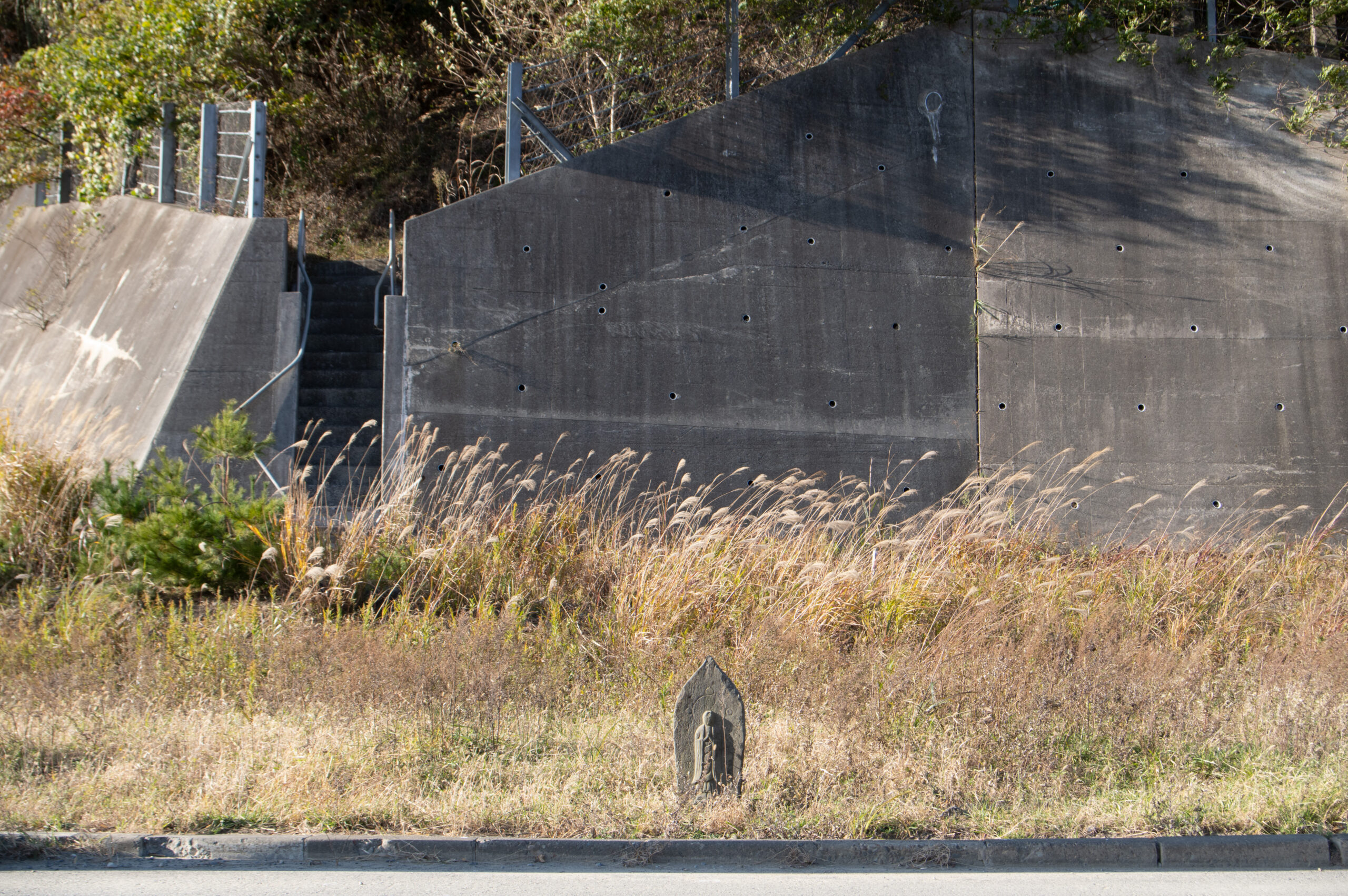 Ogatsu Journey, Part 2: “Beyond the Mountain Pass, a Slow Recovery ...