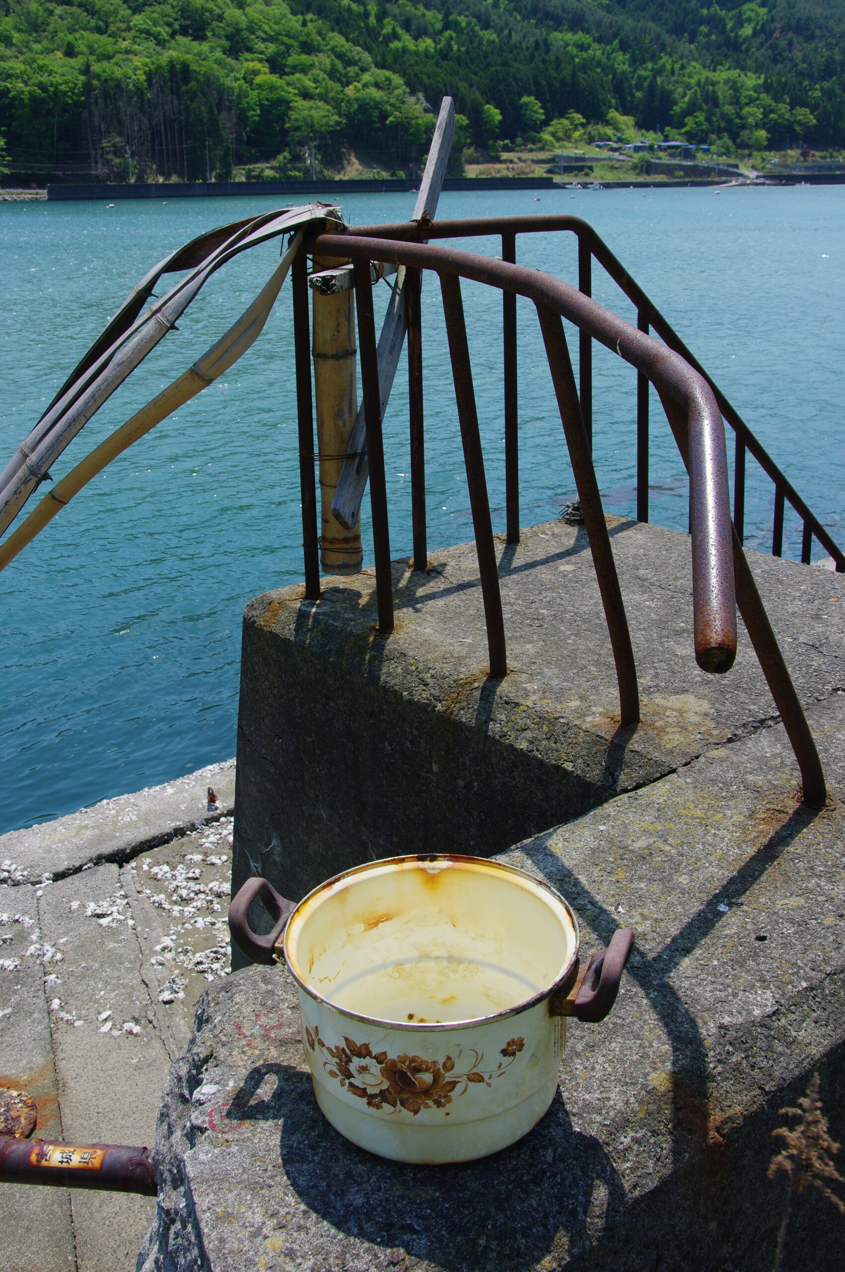 Ogatsu Journey, Part 2: “Beyond the Mountain Pass, a Slow Recovery ...